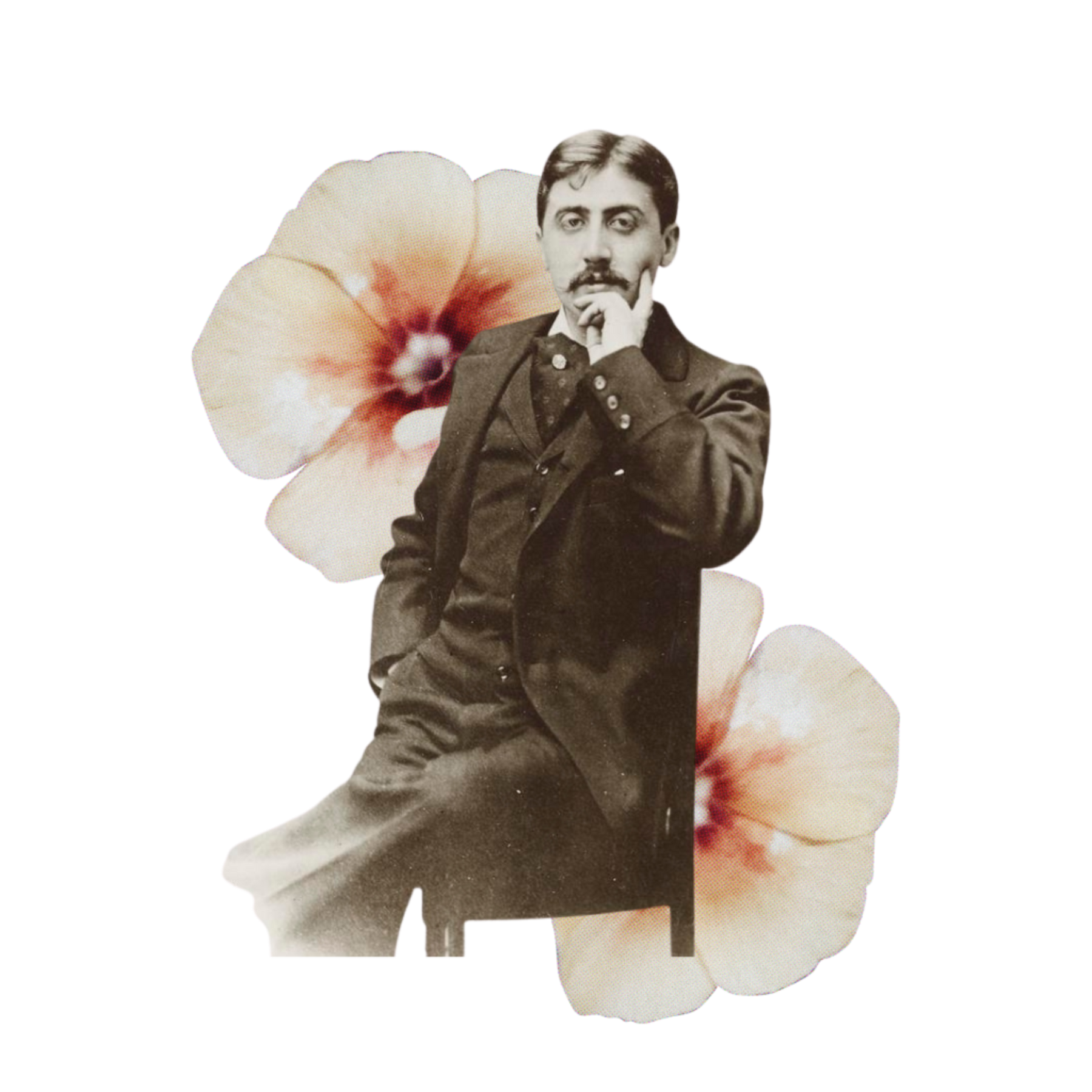 The Proust Effect – Appellation