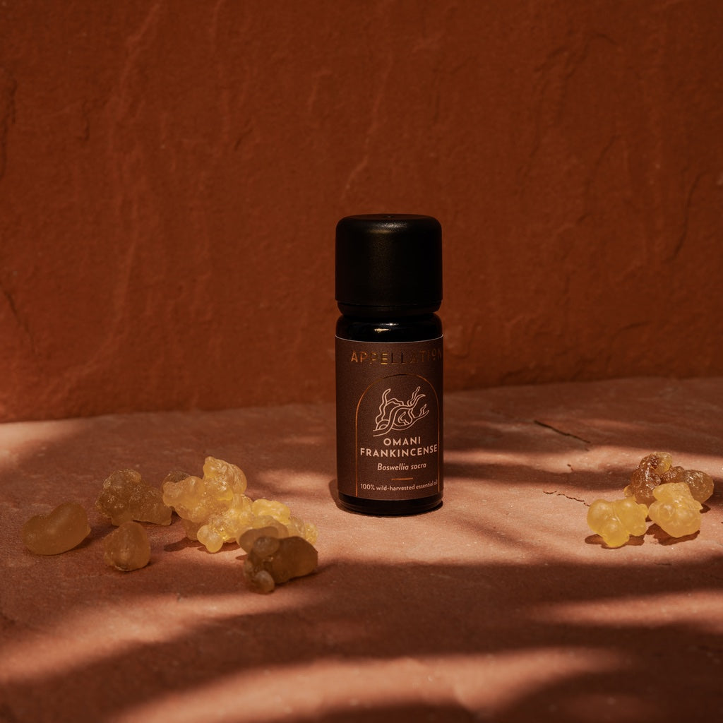 OMANI FRANKINCENSE | Appellation Wild-harvested Essential Oil, 10ml